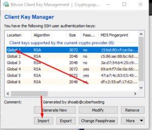 Configuring public key authentication with Bitvise SSH Client