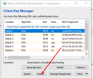 Configuring public key authentication with Bitvise SSH Client