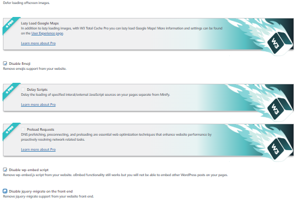 What is W3 Total Cache Pro - Comprehensive Guide 2024